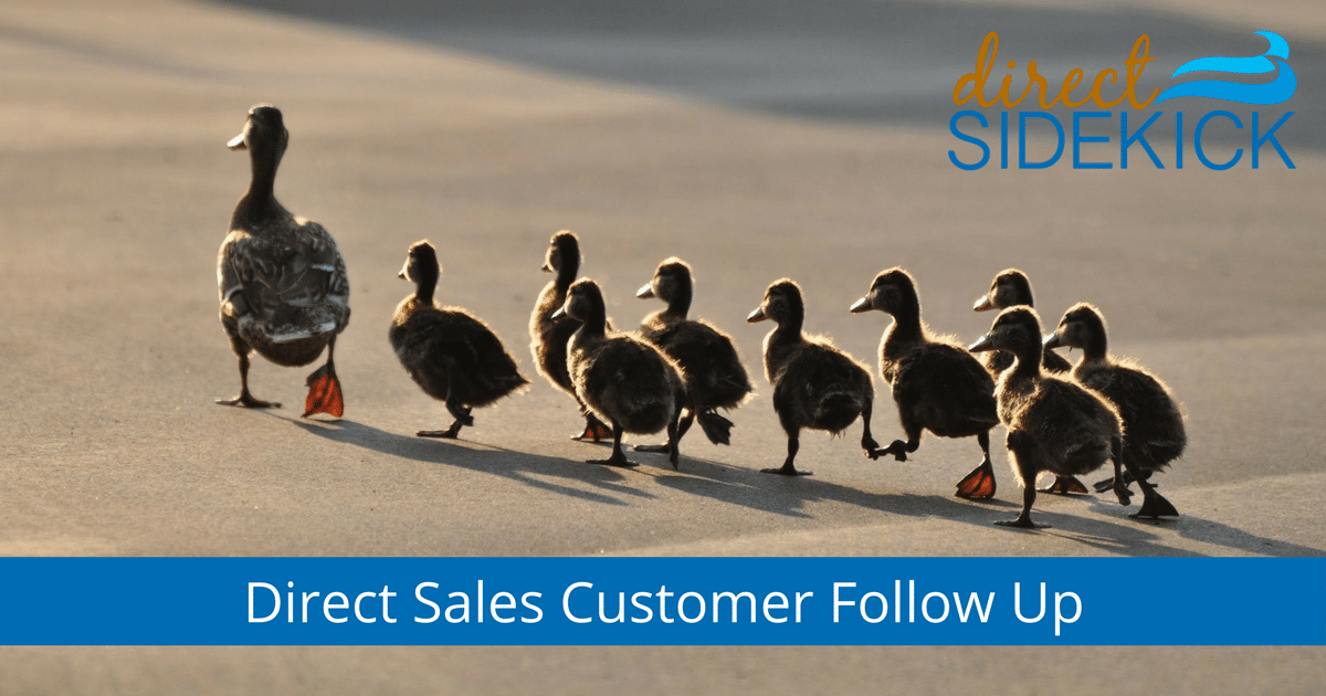 Direct Sales Customer Follow Up System [free download]